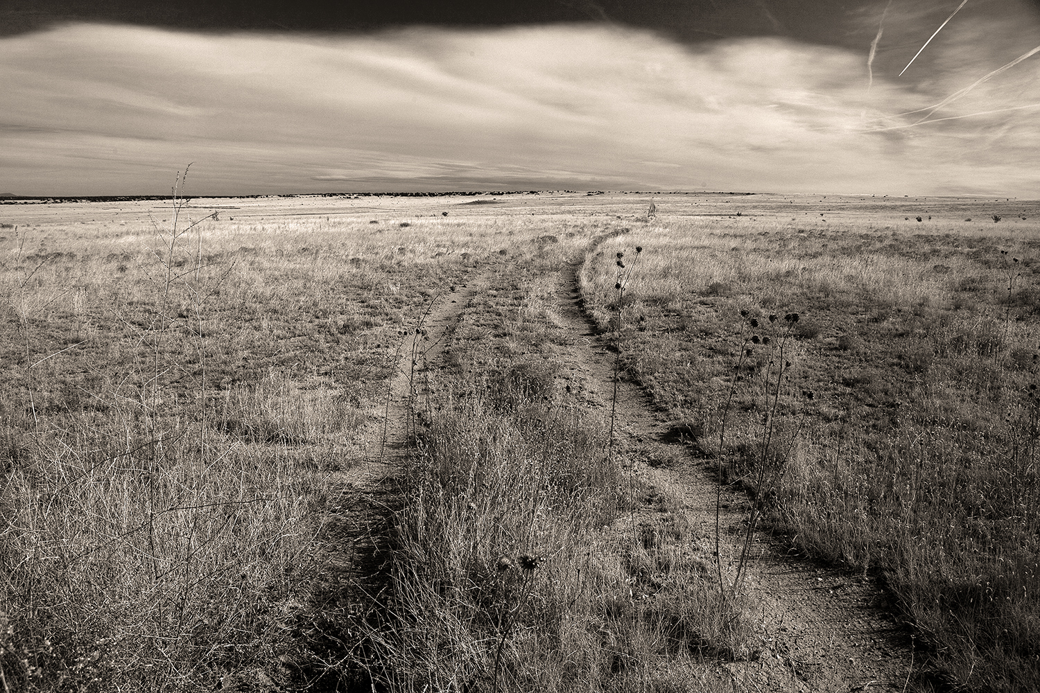 Steve Immel Photography: Wagons Ho