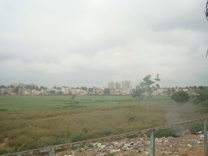 Lakes In Bangalore: Sarakki Lake