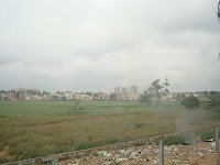 Lakes In Bangalore: Sarakki Lake