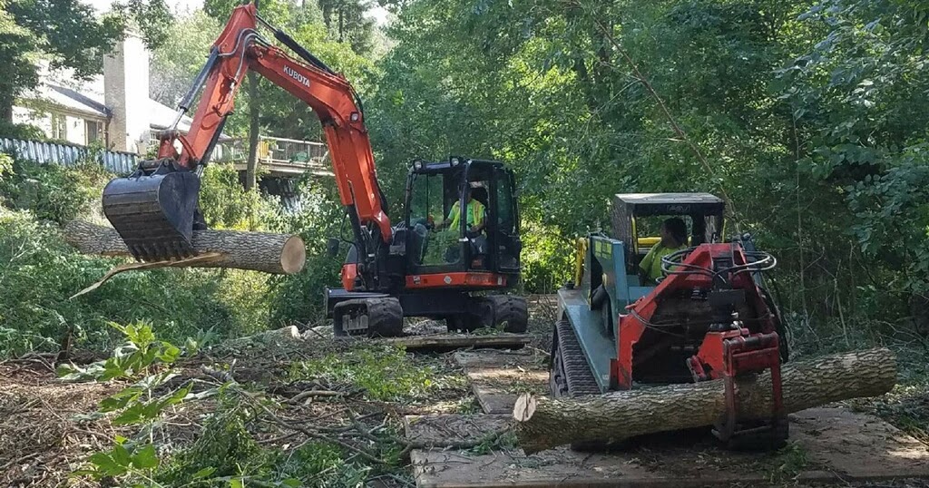 Affordable Tree Service: Why to Go with Professional Tree Cutting Services?