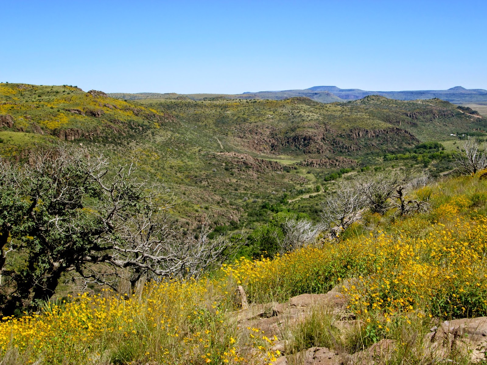 Susan and Matt--the big adventure: Davis Mountains State Park, Texas