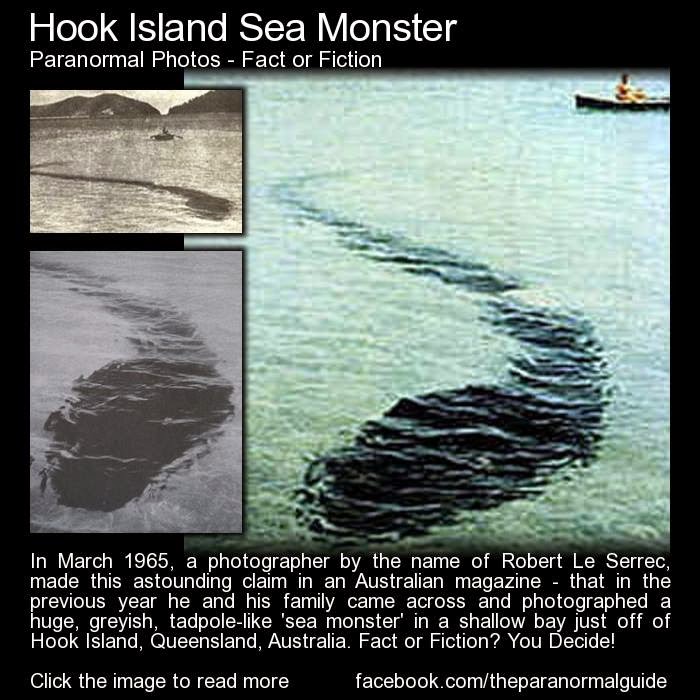 Scared Sheetless: The Paranormal Guide Presents: Paranormal Photo ...