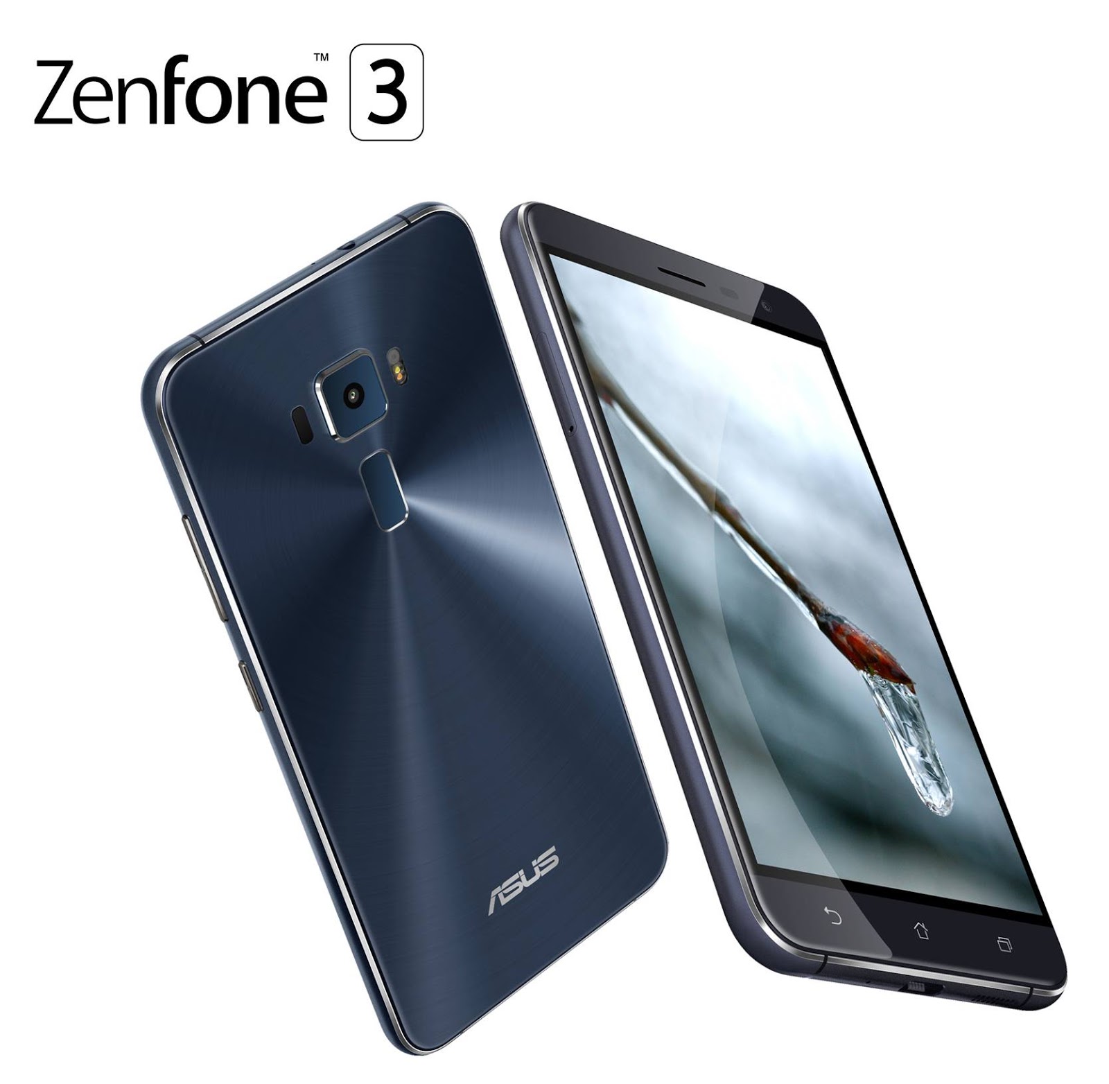 Asus Zenfone 3 Series - Big Beez Buzz