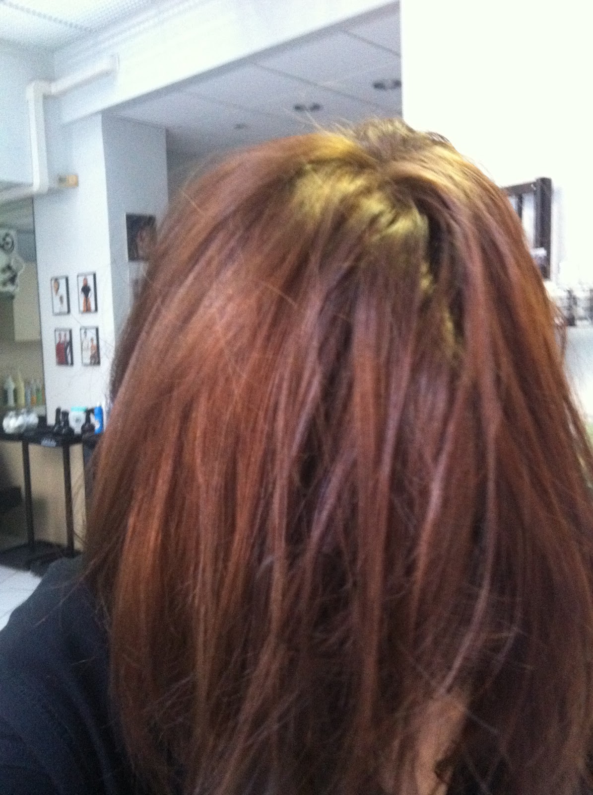 Vive Les Cheveux par MeiiLy: Résultat en photos coloration Logona ...