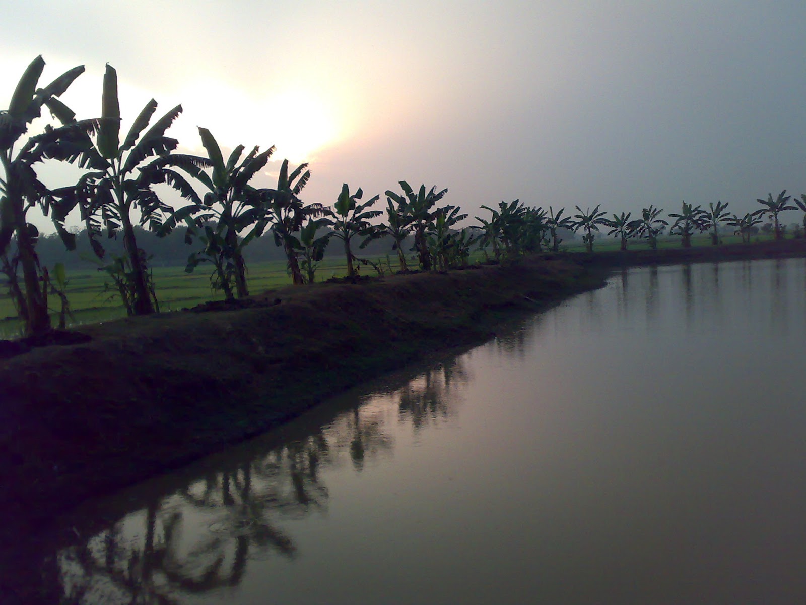 Bangladesh: Rangpur Division