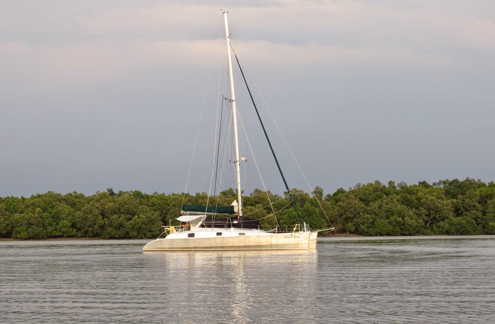 s/v Silver Tern