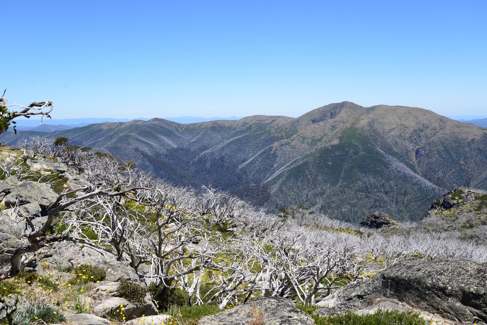 walkabouters club of victoria inc: Pretty Valley - Tawonga Huts - Mount ...
