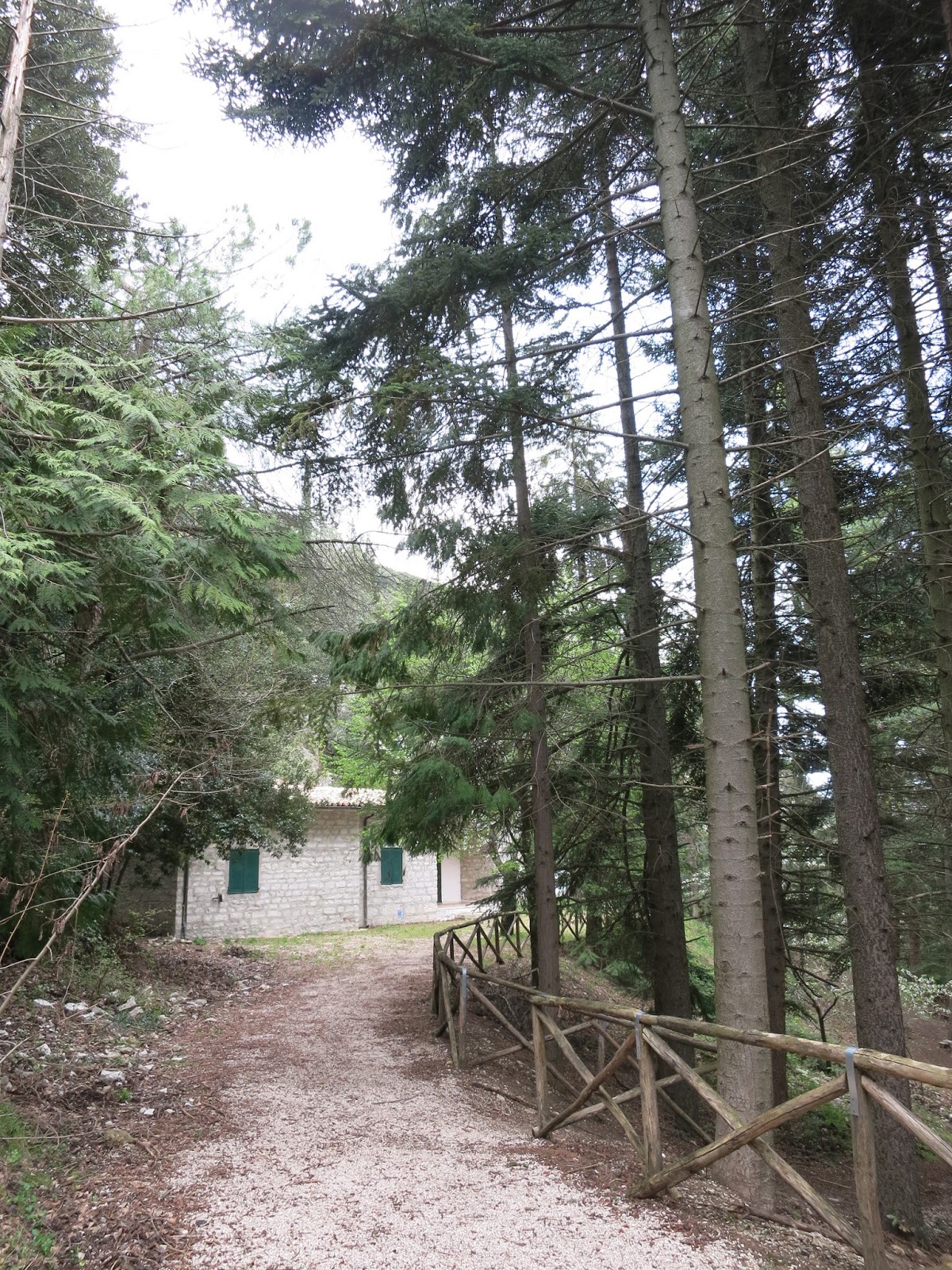 Itineris Mei: Monte Pietralata - Ascesa alla Testa del Duce