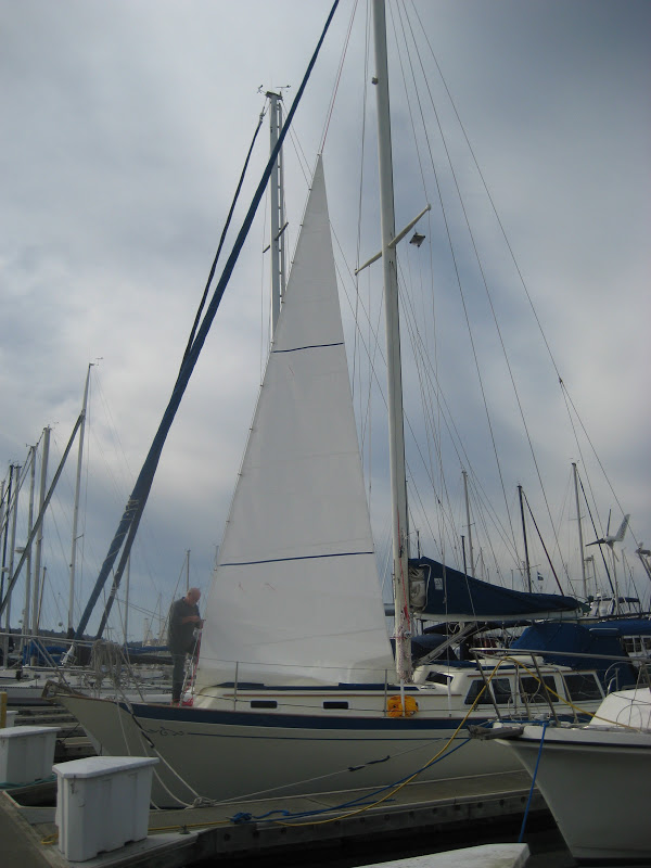 The Circe Chronicles: Solent Stay