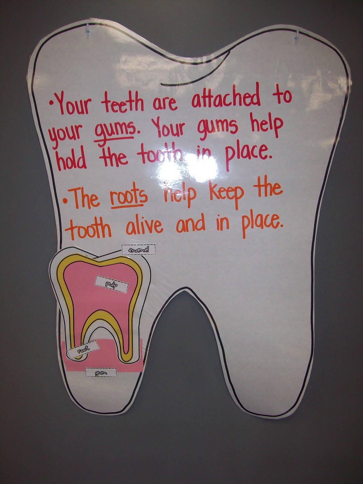 Teaching With Terhune: Dental Health