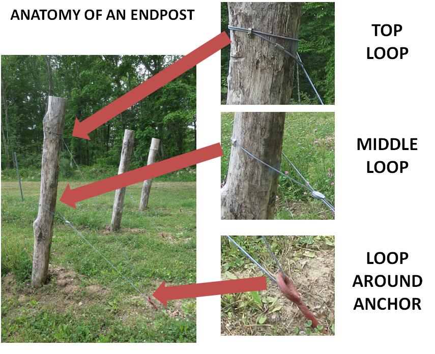 EnoViti: 06/01/2015 - 07/01/2015