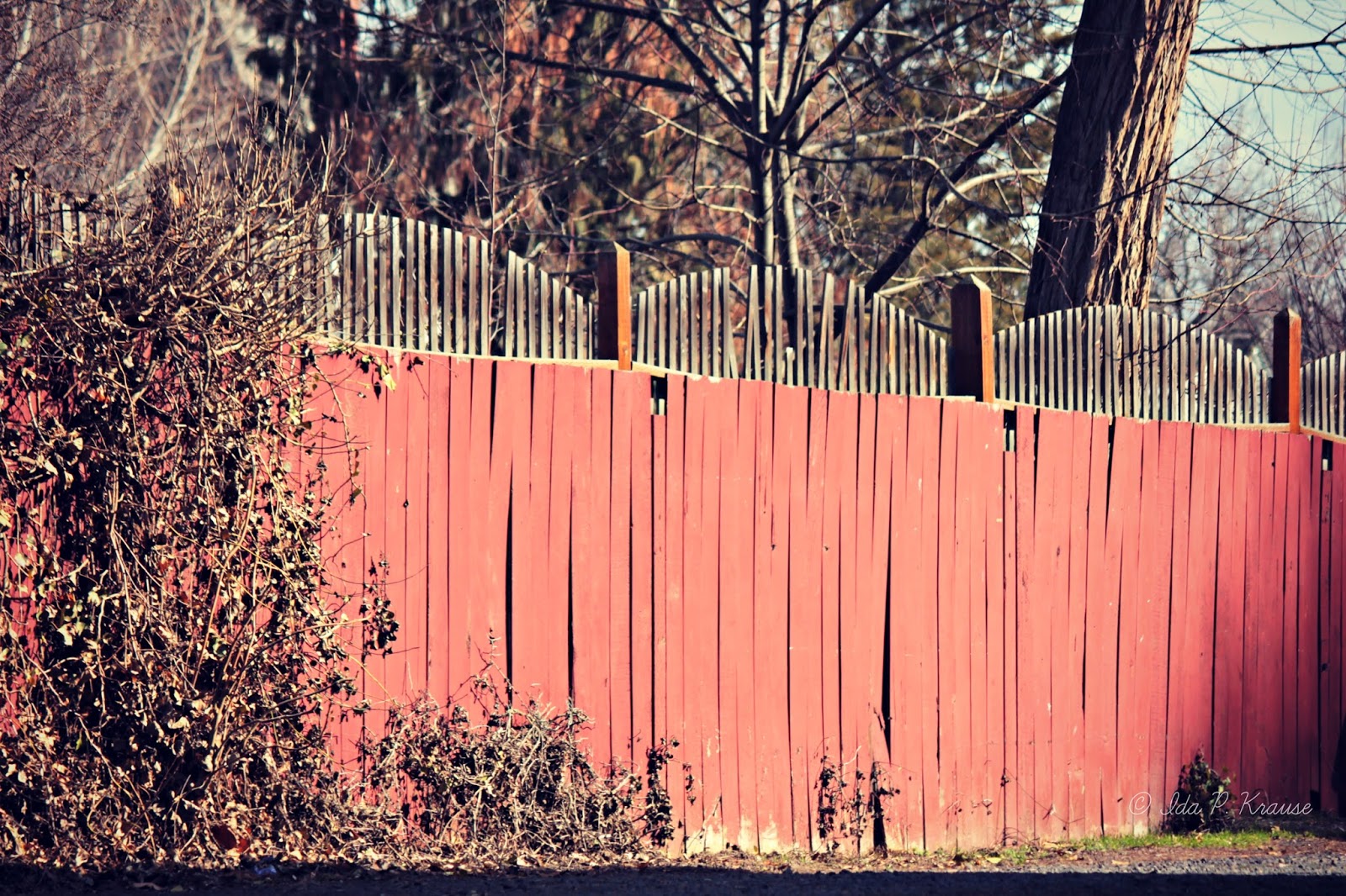 Wishes, Dreams & Other Things: Good Fences Around the World #7 - Pops ...