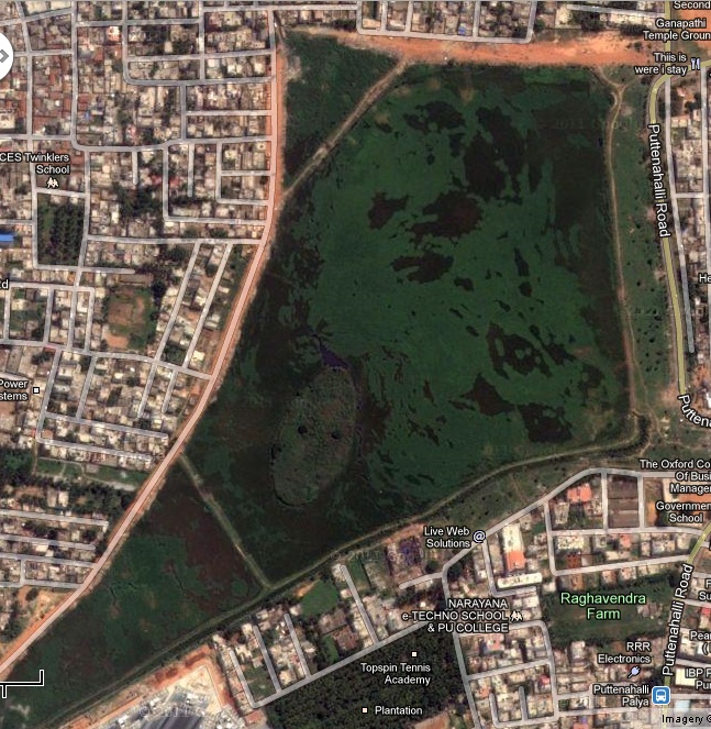 Lakes In Bangalore: Sarakki Lake
