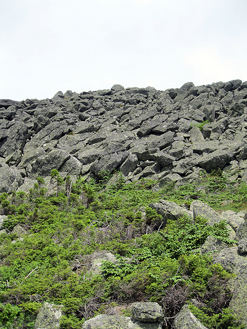 Hiking in the White Mountains: The Abandoned Adams Slide Trail