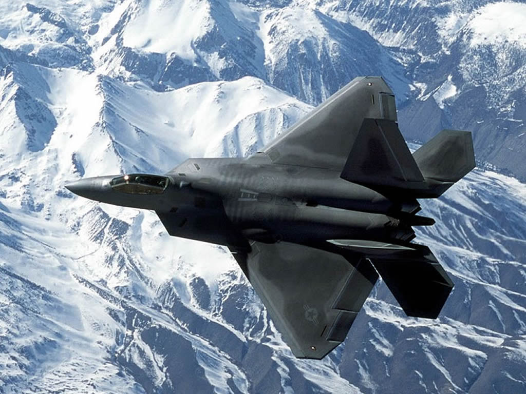 The Cat: Jet Fighter Wallpapers