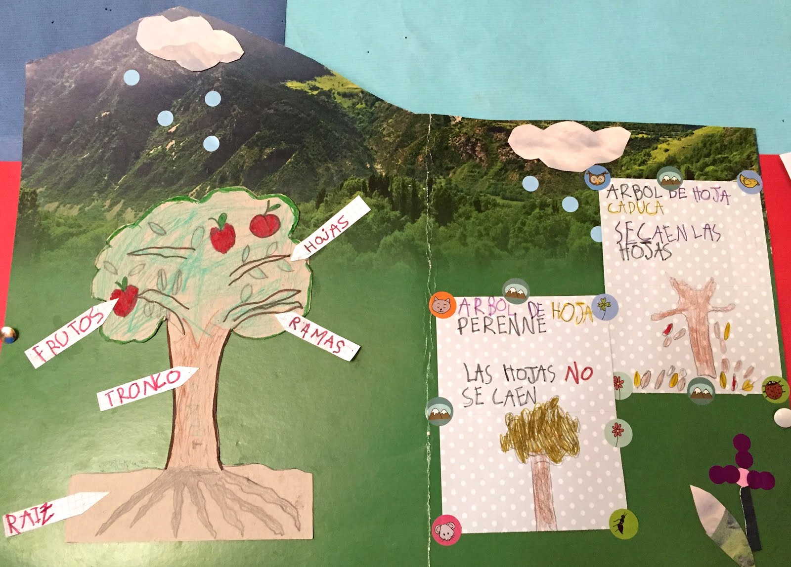 ELMER Y COMPAÑÍA: Los árboles. Sus partes (III)