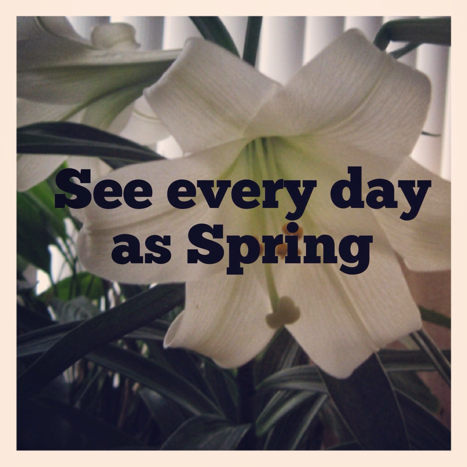 See every day as Spring
