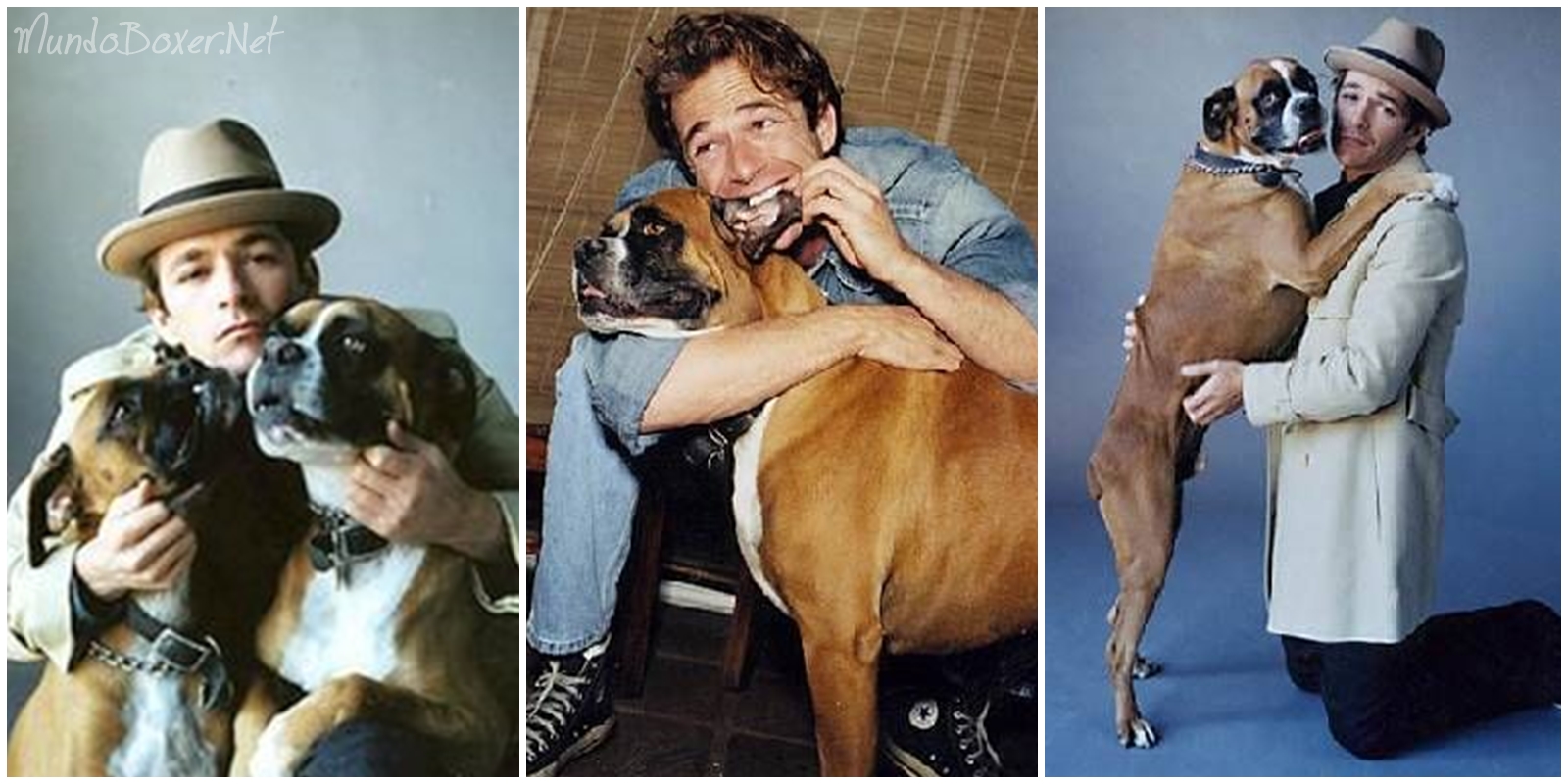 MundoBoxer.Net: Famosos con Bóxers