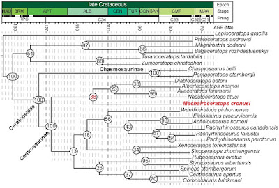 Palaeos, la historia de la Vida en la Tierra: Nuevos dinosaurios ...