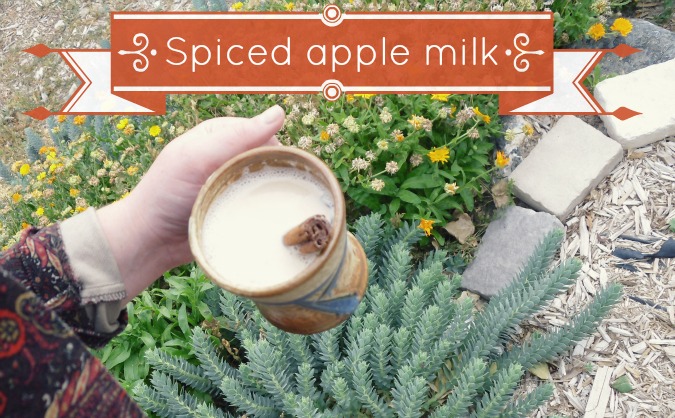 Eloquent Sticks and Stones: Warm Spiced Apple Milk // A Recipe
