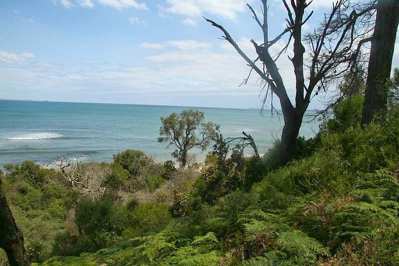 TRACKS, TRAILS AND COASTS NEAR MELBOURNE : Merricks Beach Foreshore ...