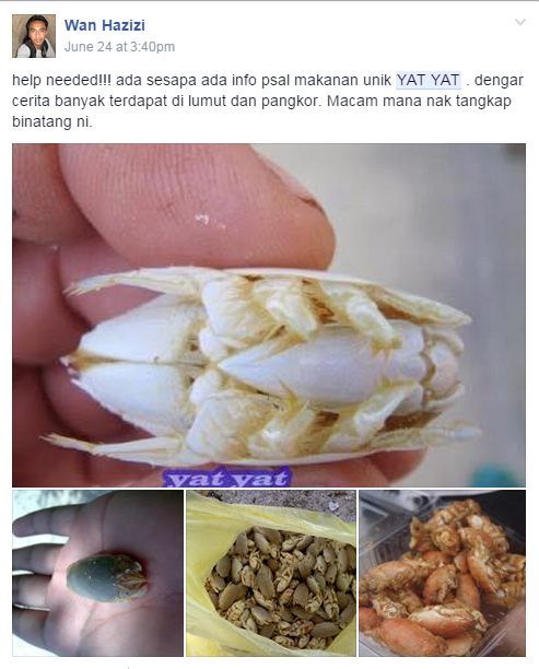 Yat - Yat atau Ibu Remis