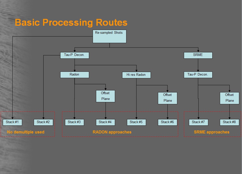 Seismic Reflections: The Art of Testing
