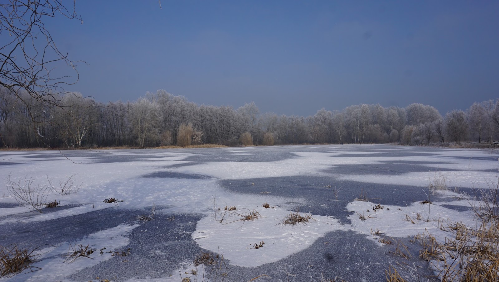 Nora-bora: január 2017