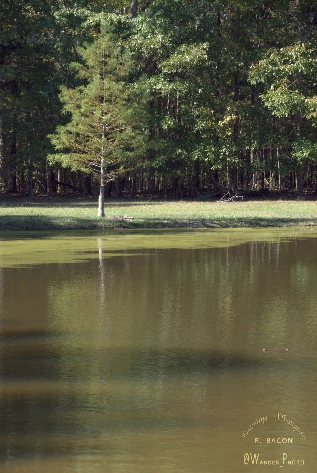 Wander Photo: Shiloh: Battles, Indians, and Monuments to Death