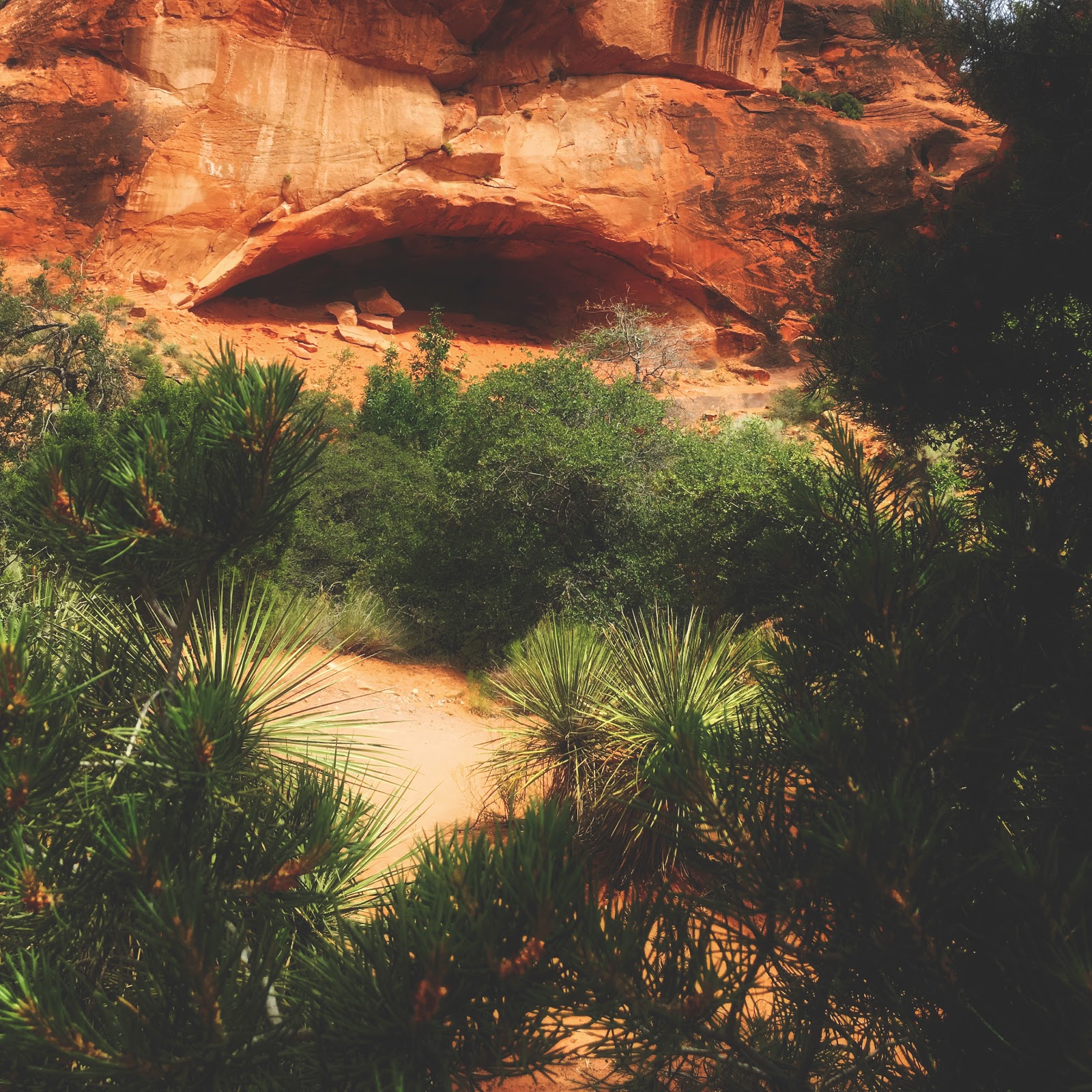 Red Cliffs National Conservation Area - Red Reef Trail