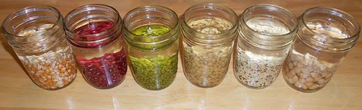 Healthy Sustainable Living: Soaking your Seeds will give you Faster ...