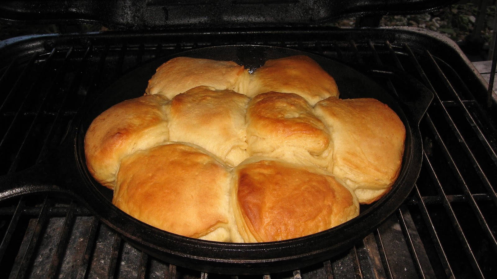 Lezlie's World: POST IRMA