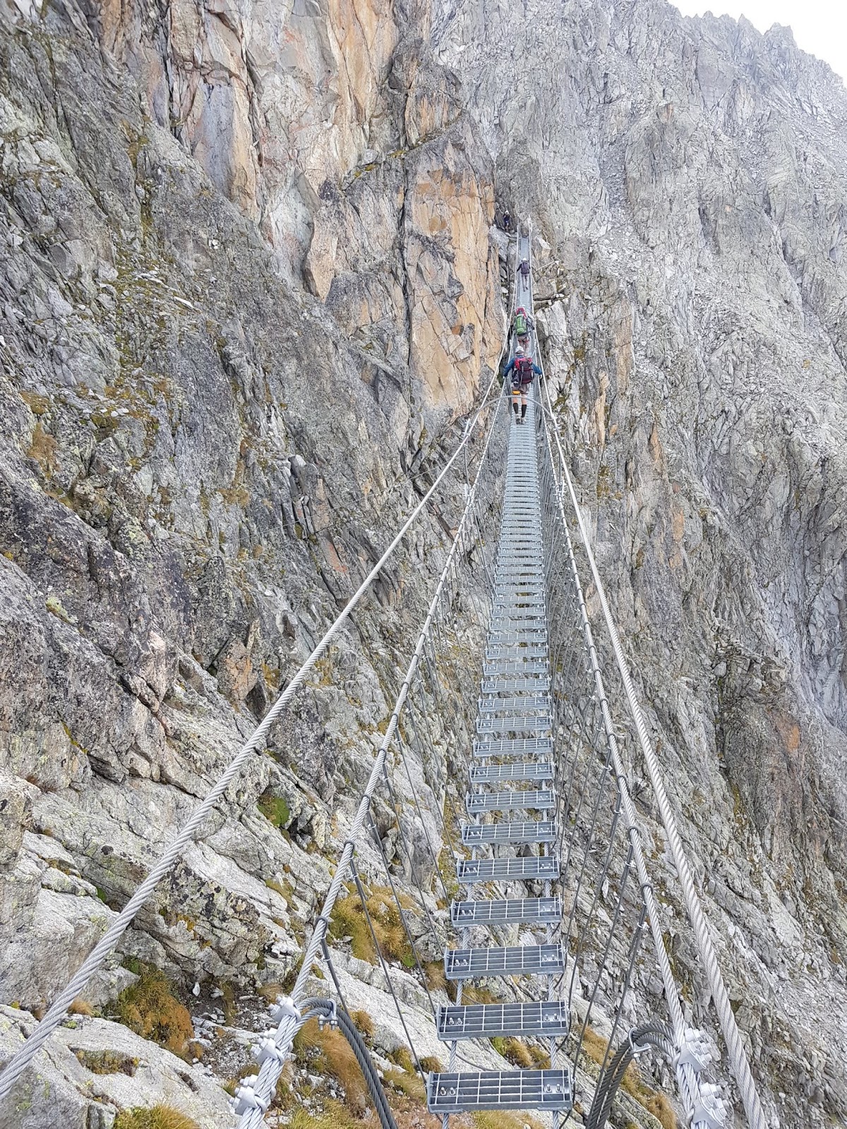 Su strade e sentieri: CIMA PAYER (m. 3.056) - Sentiero dei Fiori (Adamello)