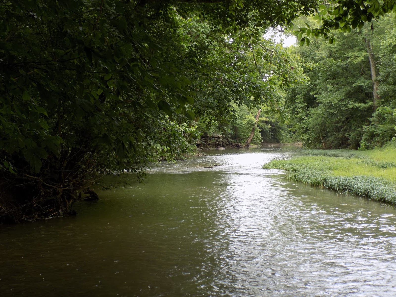 Paddle Tennessee: Harpeth River - Ladd Farms Access Point