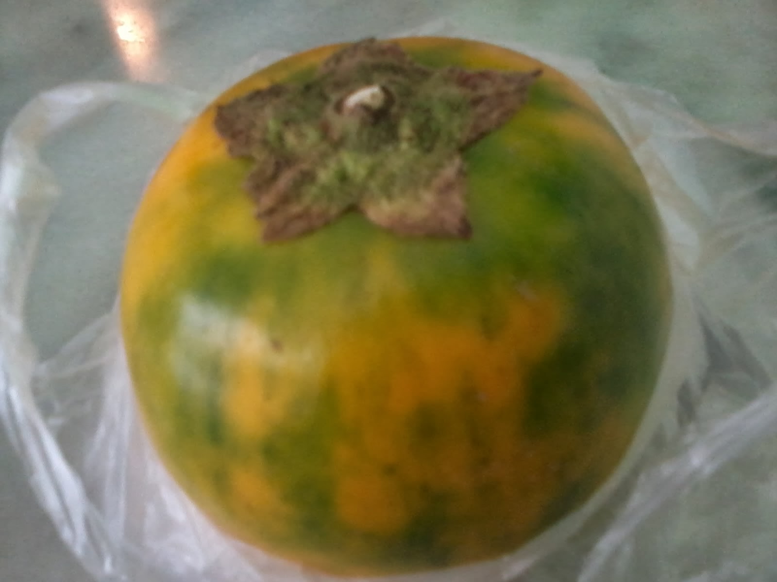 Chomel2u: TERUNG DAYAK (TERUNG ASAM SARAWAK)