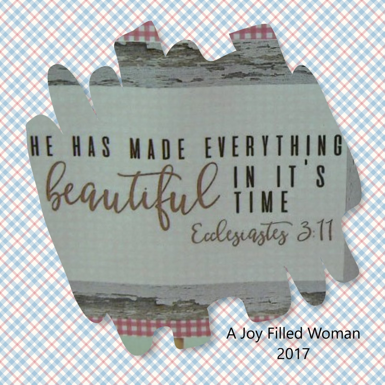 A Joy Filled Woman : Verse of the Week - Ecclesiastes 3:11 - February ...