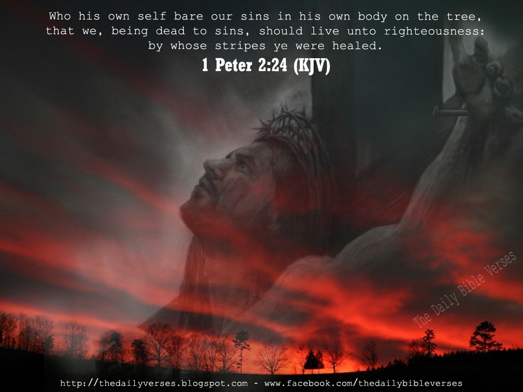 Daily Bible Verses 1 Peter 2 24 daily-bible-verses-1-peter-2-24