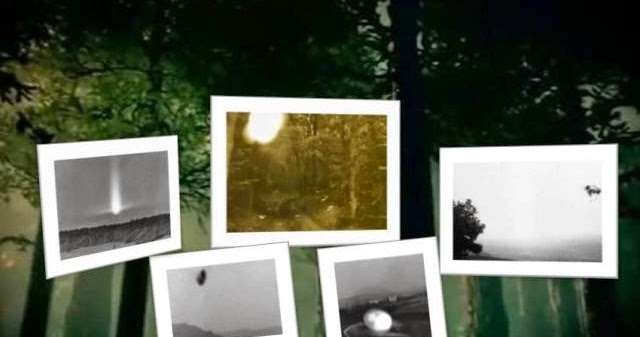 Hoia Baciu Forest: The Bermuda Triangle of Transylvania