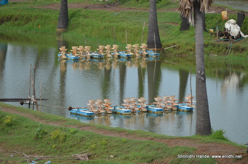 Dindi on the banks of Godavari river - eNidhi India Travel Blog