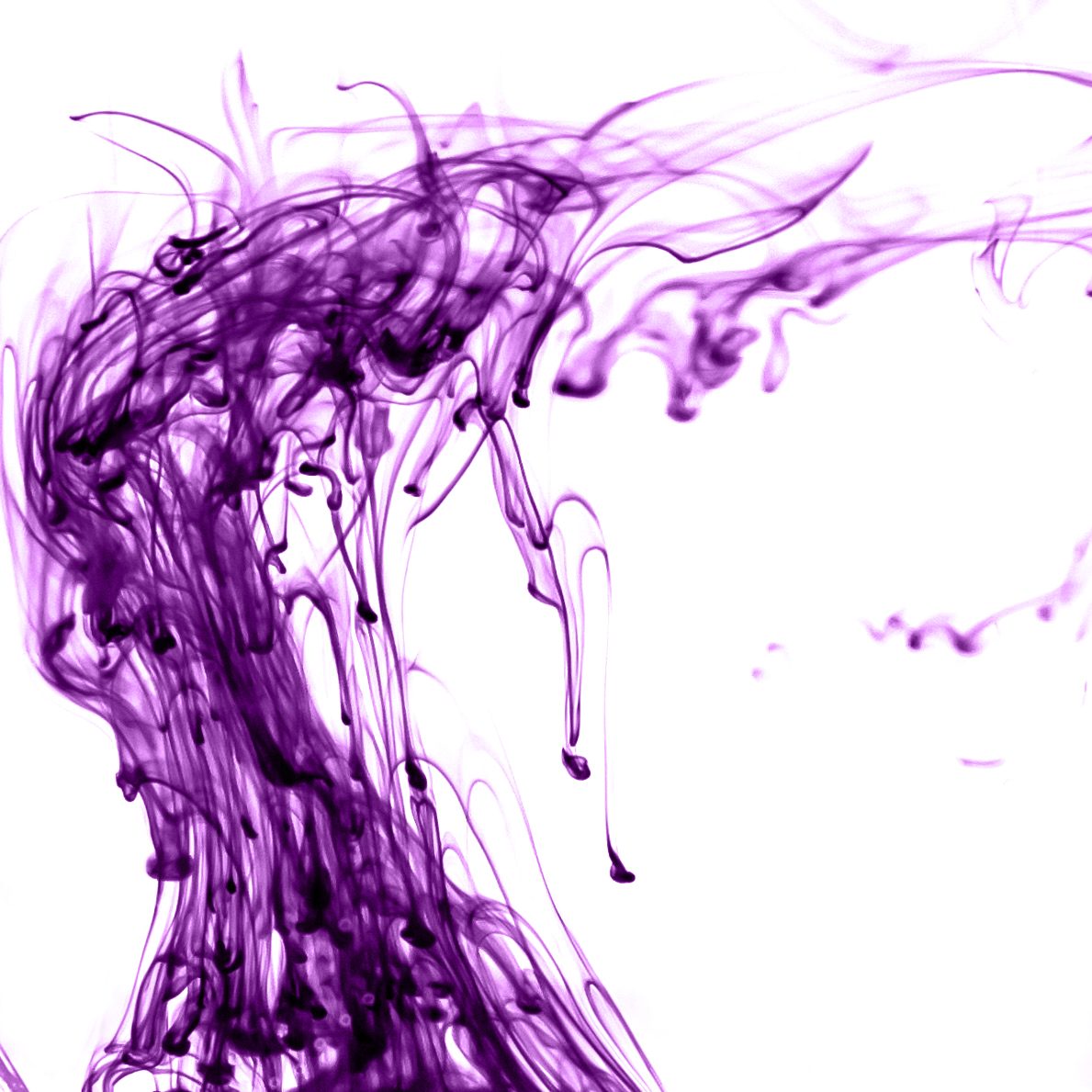 NEW SAVANNA: Variations, A couple of drops of ink diffusing through water