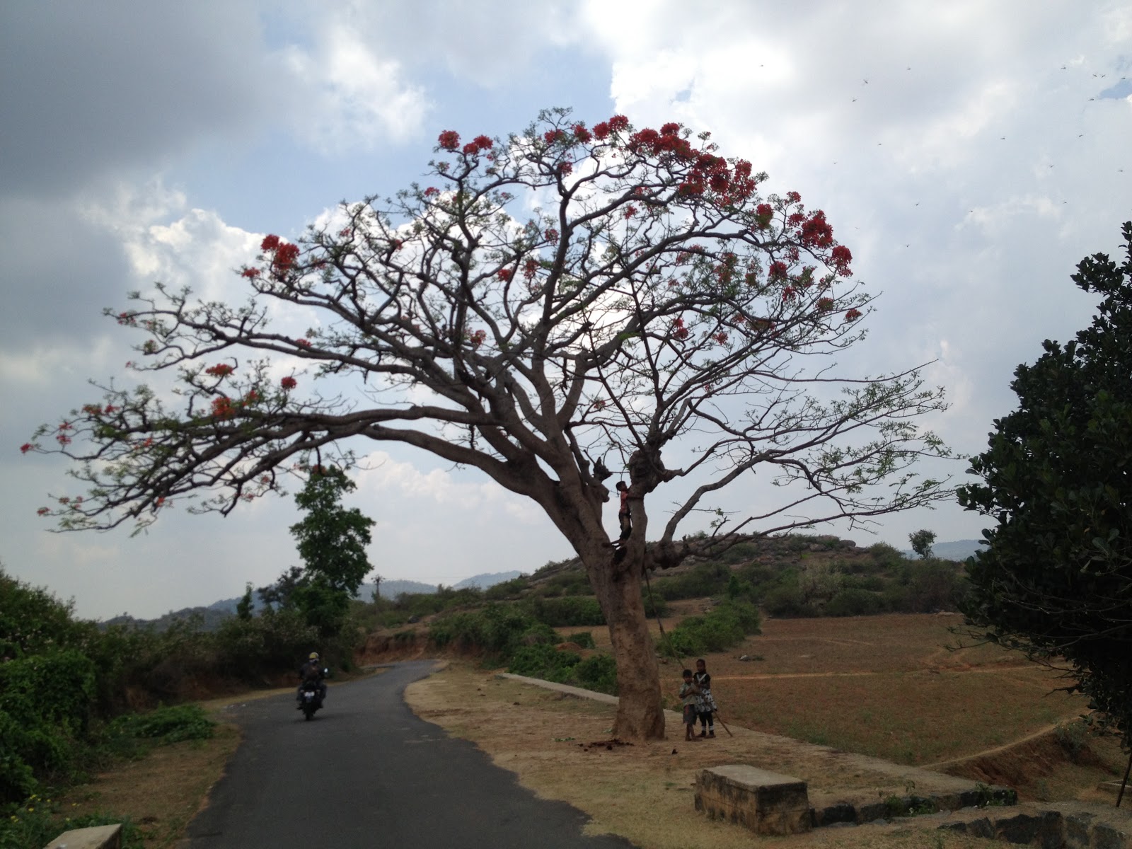 Not so traveled Roads of Javadhu Hills