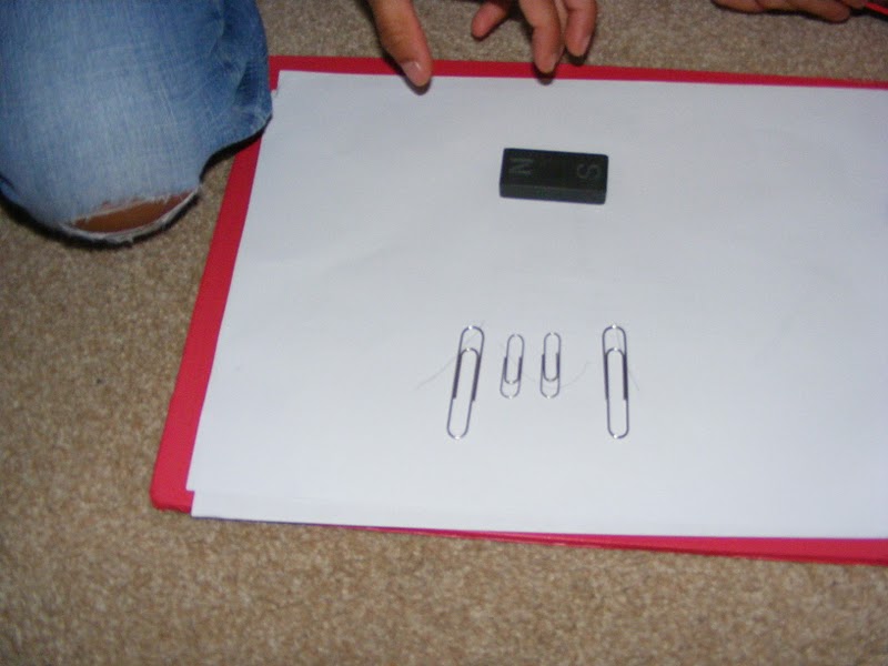 Homeschool Escapade: Elementary Magnets