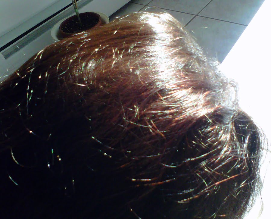 The Daily Detox: A Natural Stain for the Hair