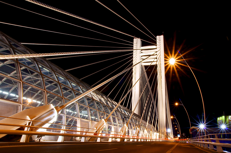 Dan Udrea: Podul Basarab, noaptea