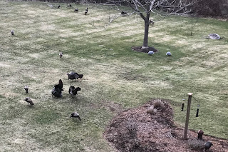 Dispatch from the Digital Health Frontier: Building Unity Farm ...