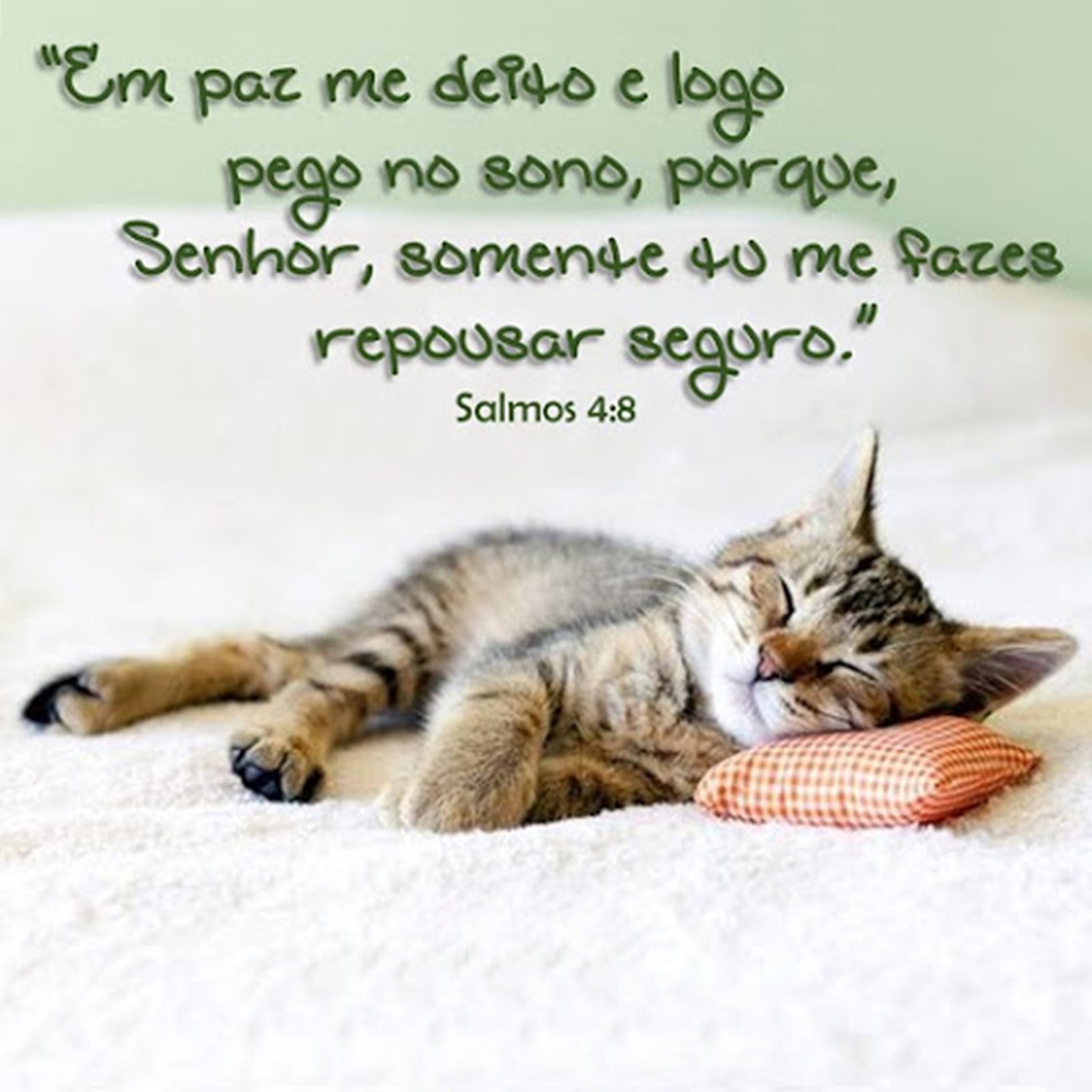 Bíblia Sagrada em Imagens: Salmos 4.8 - Sono tranquilo