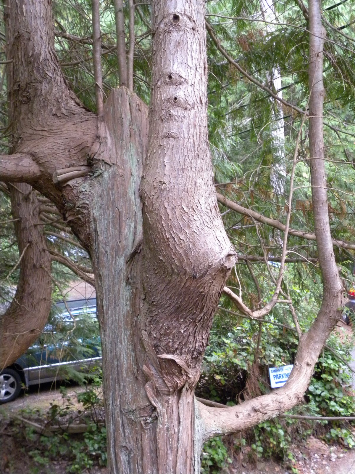 PS Whimsy - Behind the Brush: 2011-09-25