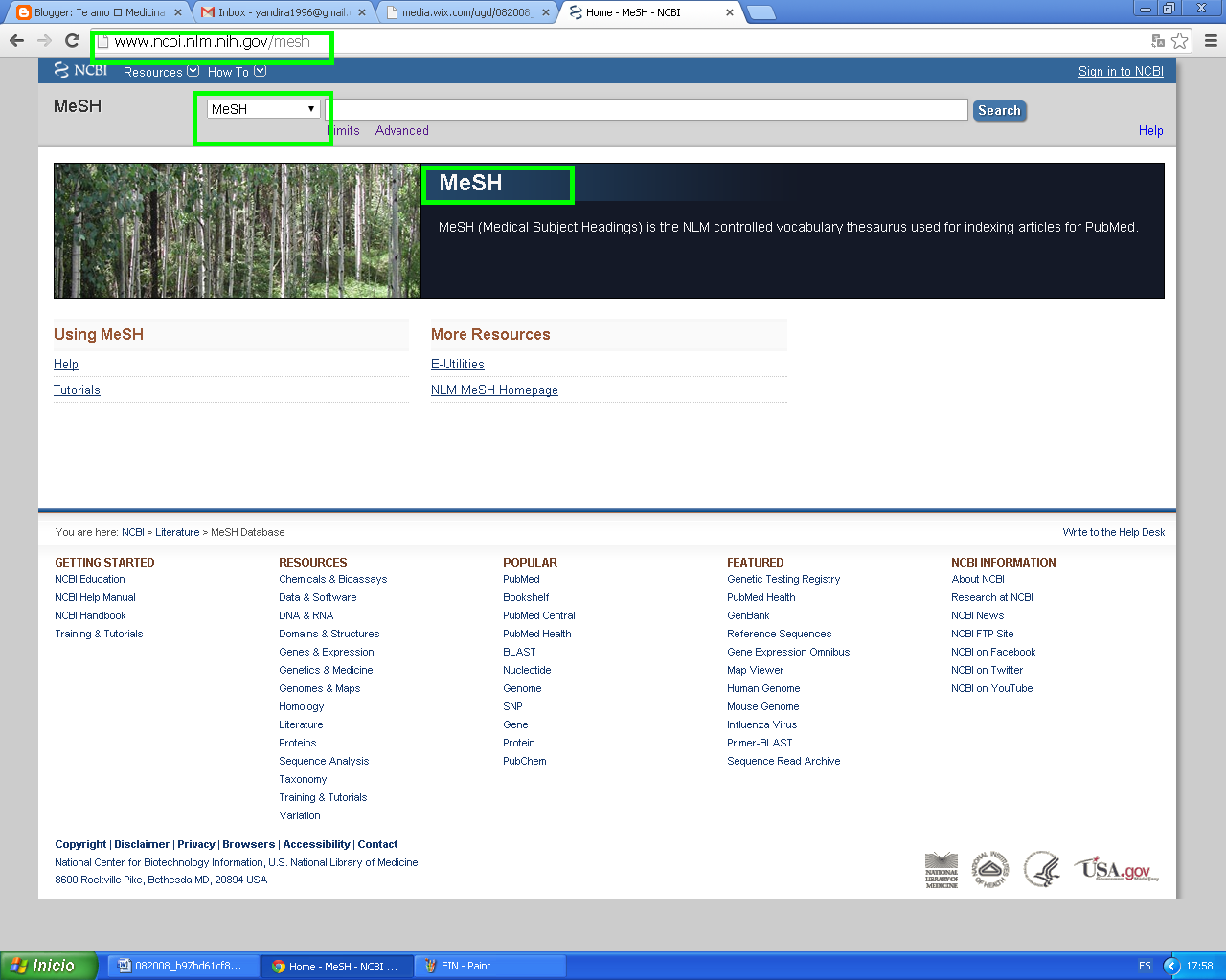Te amo ♥ Medicina USMP♥: USO DE MESH BROWSER