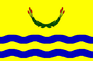 Descubriendo nuestra historia: Conociendo a Puerto Rico: JUNCOS - LA ...