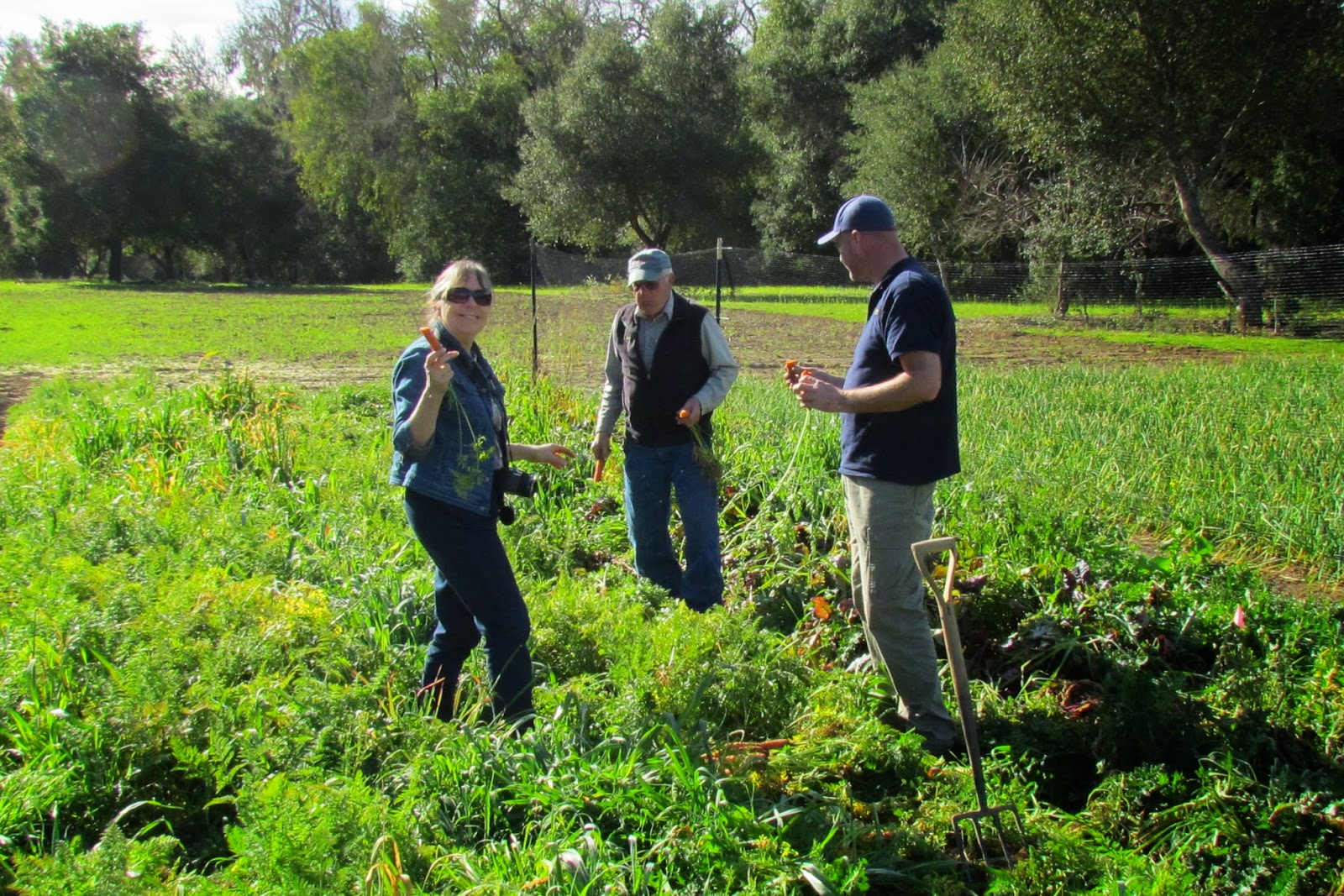 Seed Revolution Now!: Working Together To Build The California Seed Network